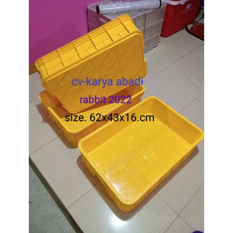 Jual box Container Rabbit 2022 size 62x43x16.cm | Shopee Indonesia