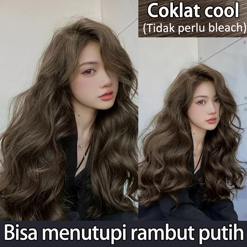 Jual 【Pengiriman cepat】STYLE FIT cat rambut Coklat cool *200ml Tidak ...