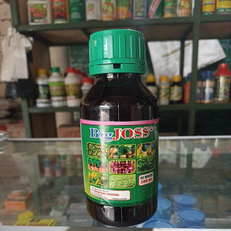 Jual BIG JOSS ( Barang Baru, kemasan beda tapi isi sama) | Shopee Indonesia