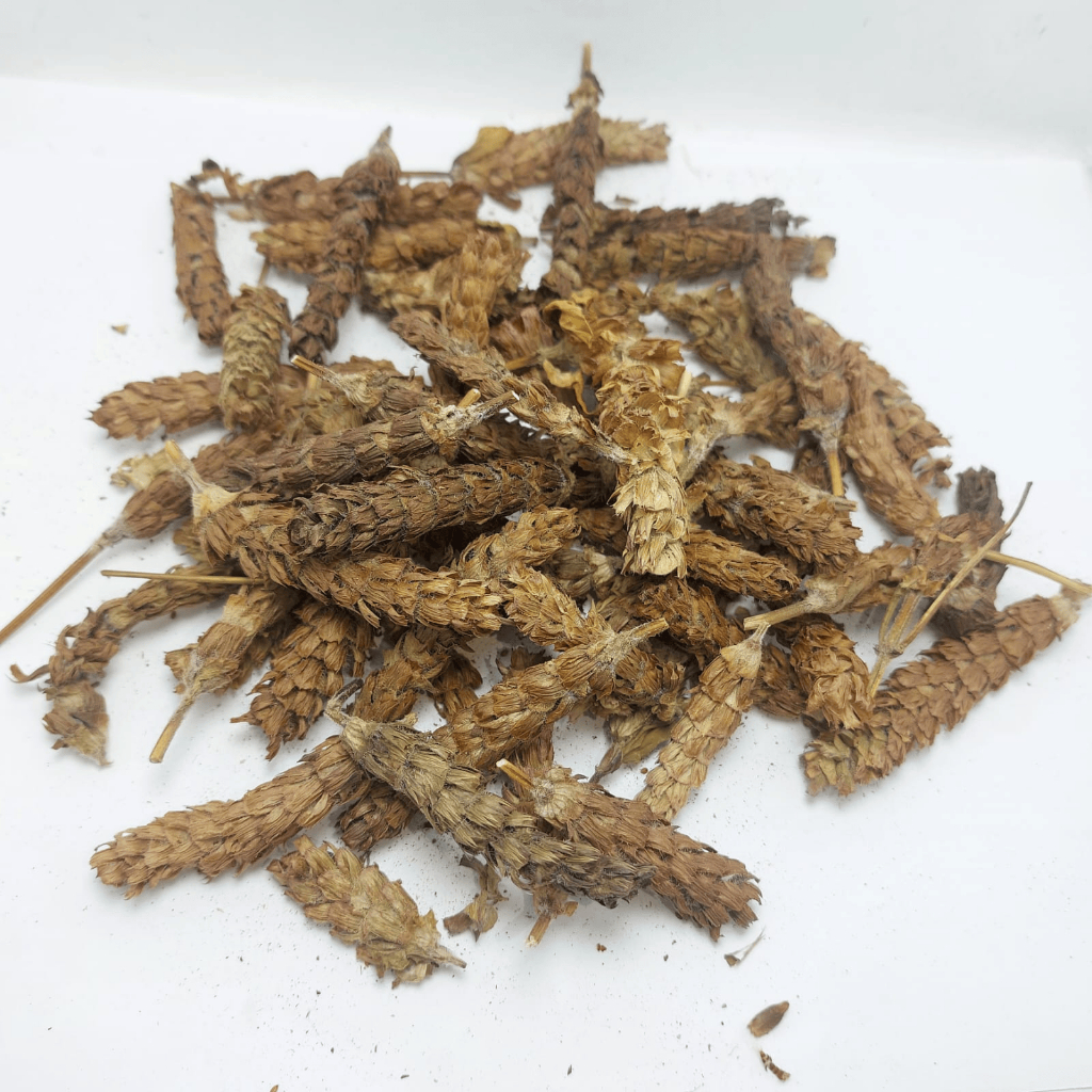 Jual Grade A - Xia Ku Cao 夏枯草 Xia Gu Cao Prunella Vulgaris - Ha Ku Co ...