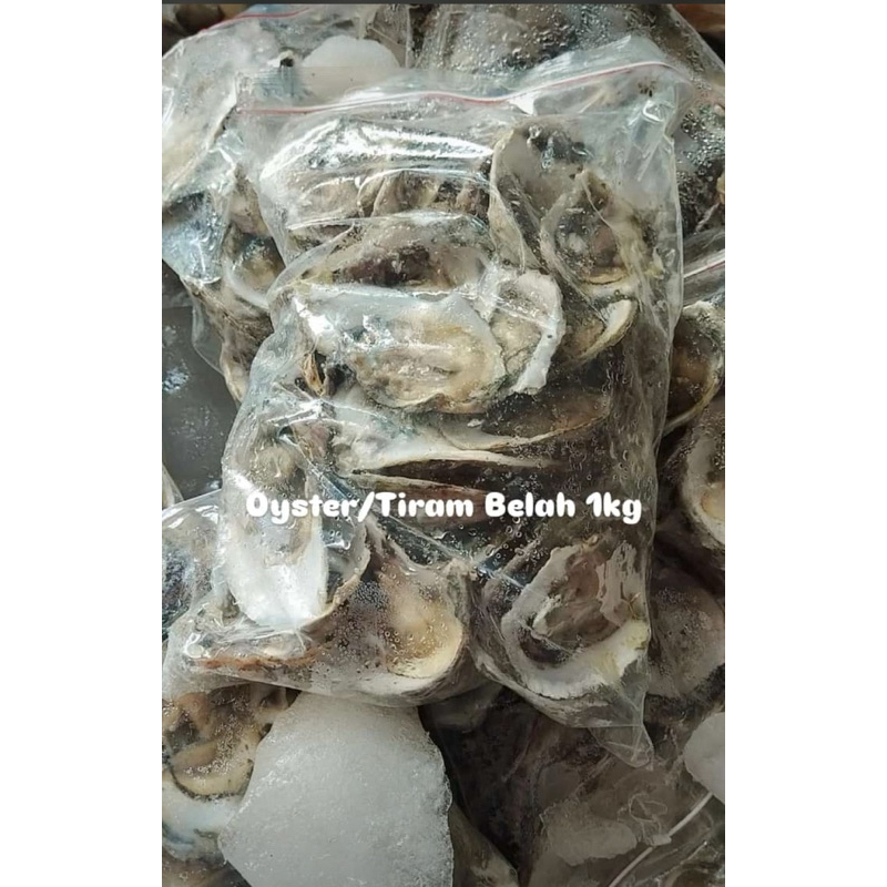 Jual oyster kerang tiram belah 1kg | Shopee Indonesia