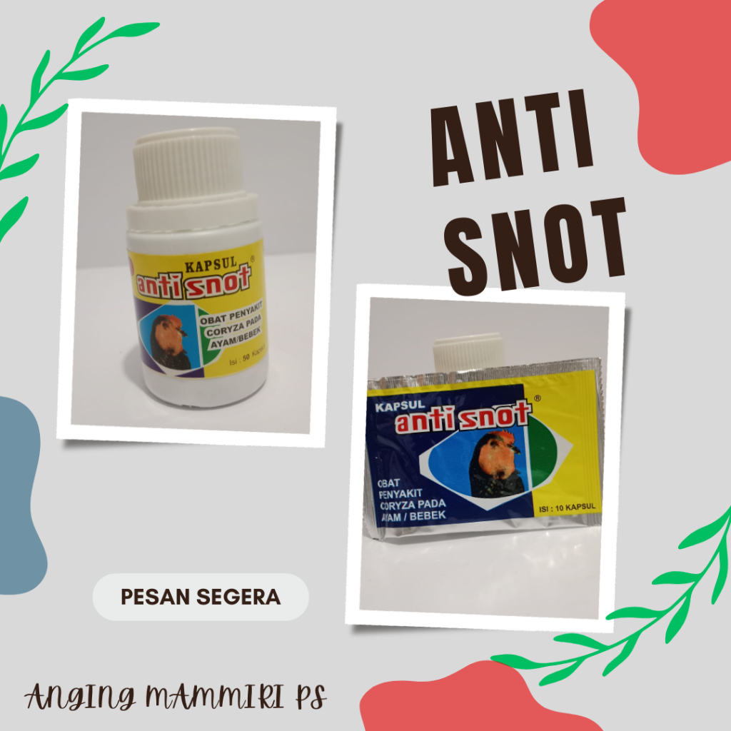 Jual ANTI SNOT CAPSUL (OBAT AYAM CRD NGOROK) | Shopee Indonesia