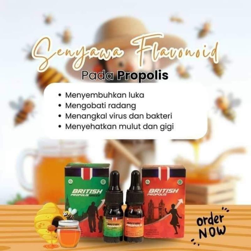 Jual British Propolis Original 100% Suplemen untuk kesehatan | Shopee ...