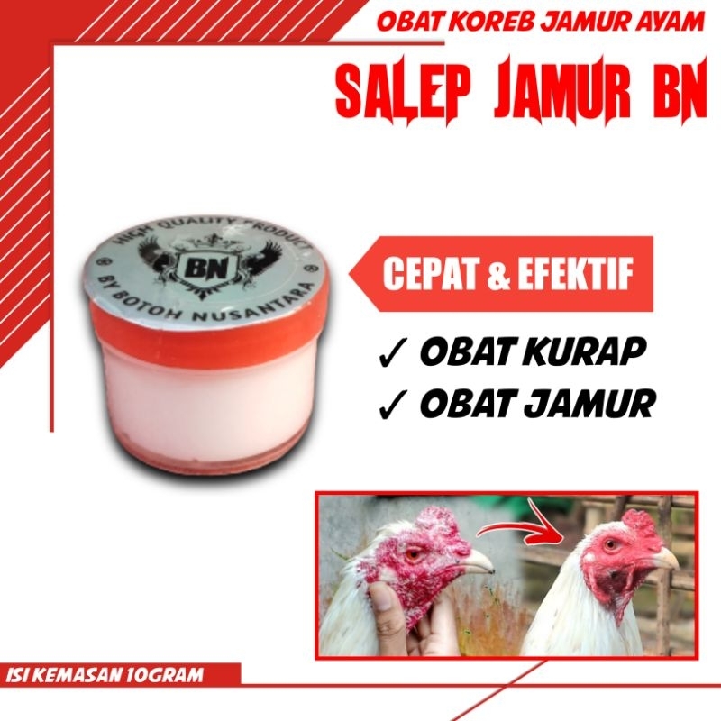 Jual Salep Ayam Penyakit Kurap Jamur Buras Kurapan Koreb Korepbn+ ...