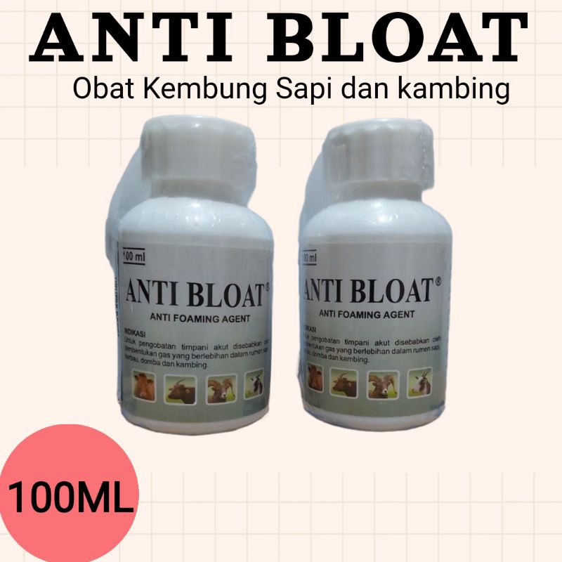 Jual ANTI BLOAT Obat kembung Sapi dan kambing | Shopee Indonesia