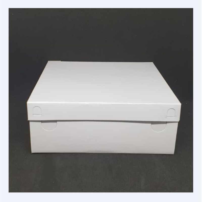 Jual dus / kotak nasi polos pisah tutup 20x20 satuan | Shopee Indonesia