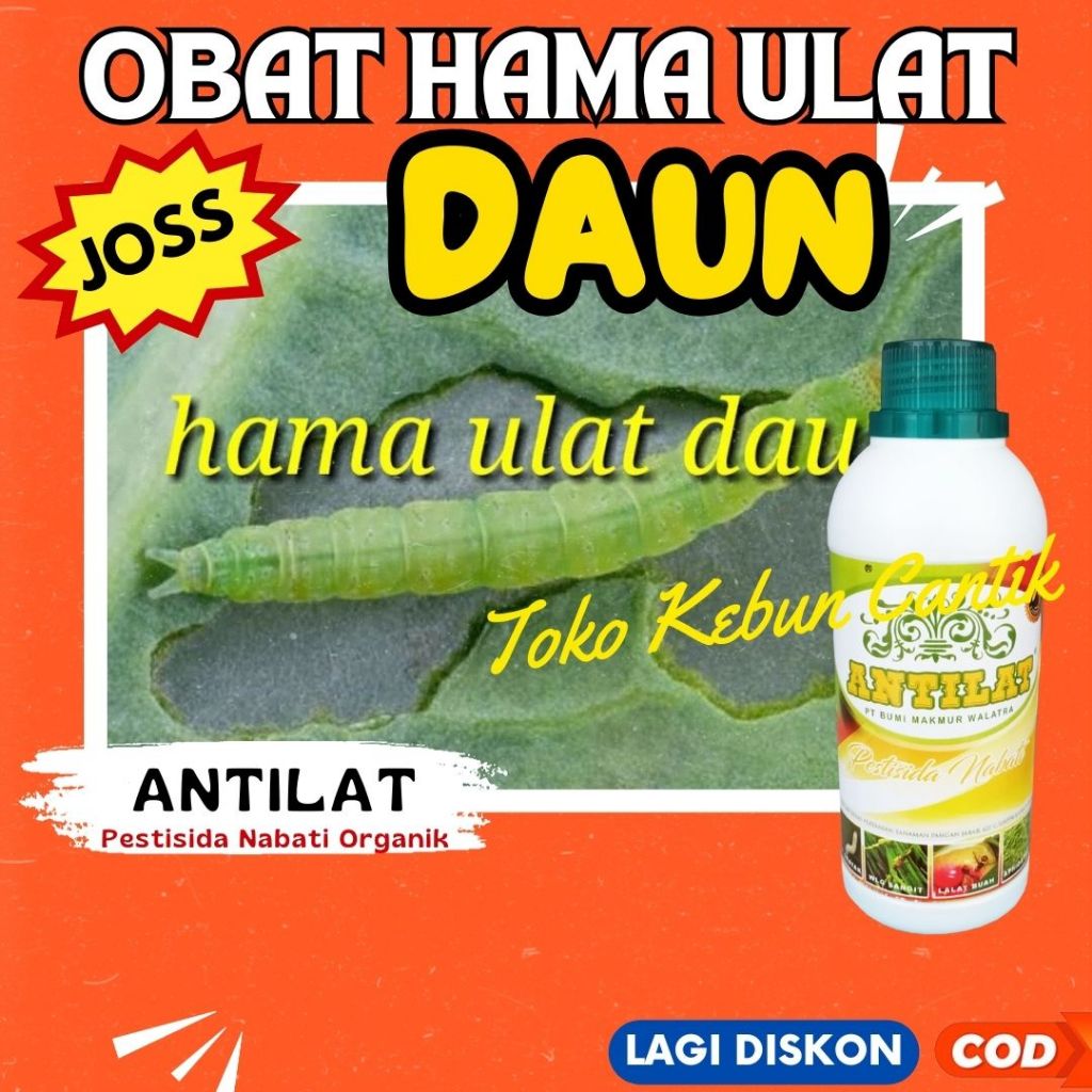Jual Obat Hama Ulat Organik ANTILAT 500ML – Mengusir Hama Ulat pada ...