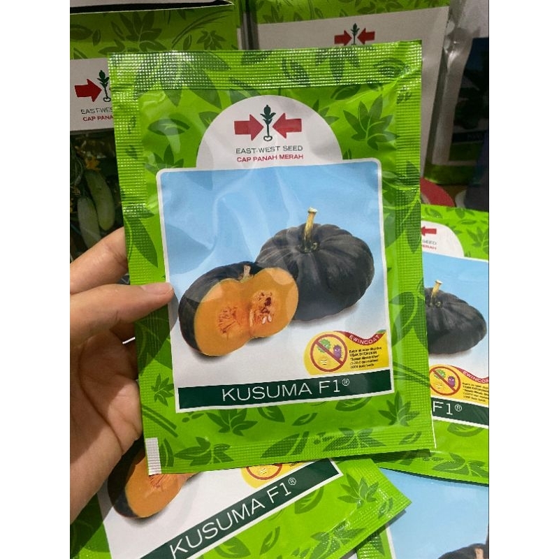 Jual Benih labu KUSUMA F1 95 butir labu kuning waluh kusuma panah merah ...