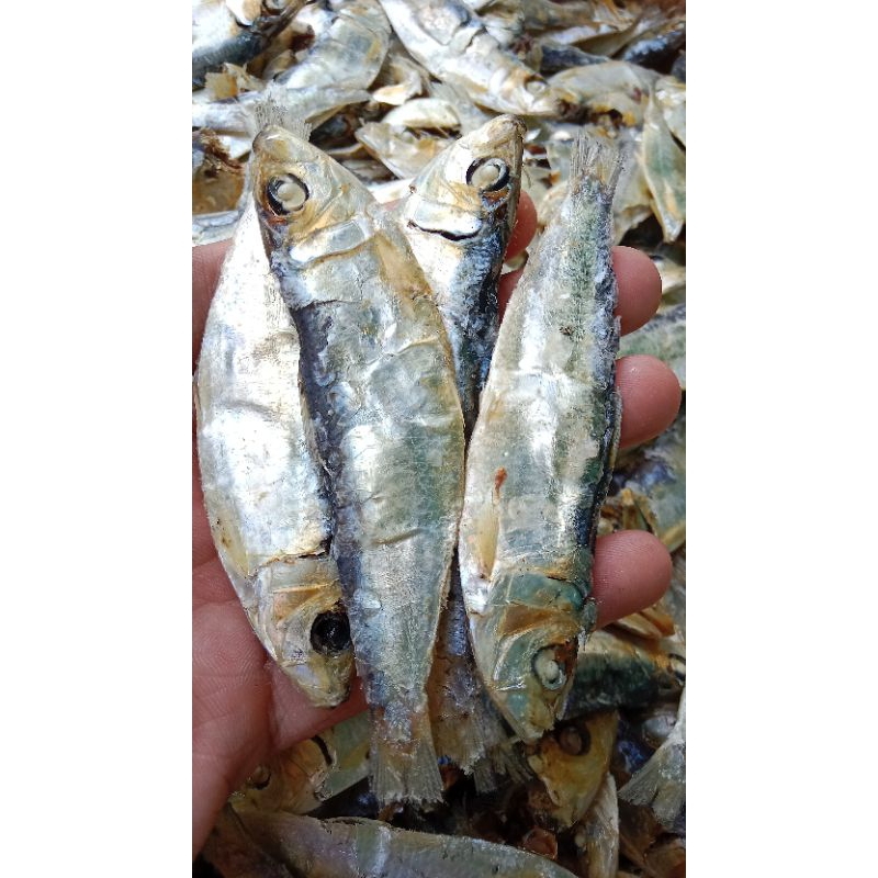 Jual Ikan asin tanjan rebus 250gr | Shopee Indonesia