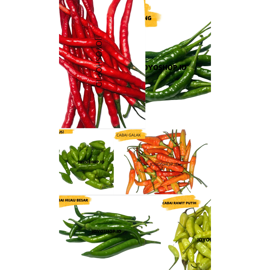 Jual [JOYO SHOP] Aneka Cabe SEGAR / 100gram SIAP KIRIM INSTANT AREA ...