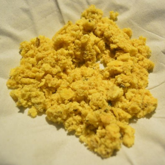 Jual Bibit Telur Maggot Berkualitas untuk Pembudidayaan Maggot Dijamin ...