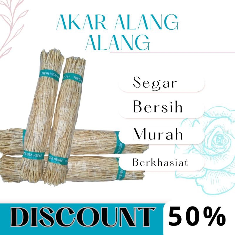 Jual Akar Alang alang segar 500gram (tidak kering) | Shopee Indonesia