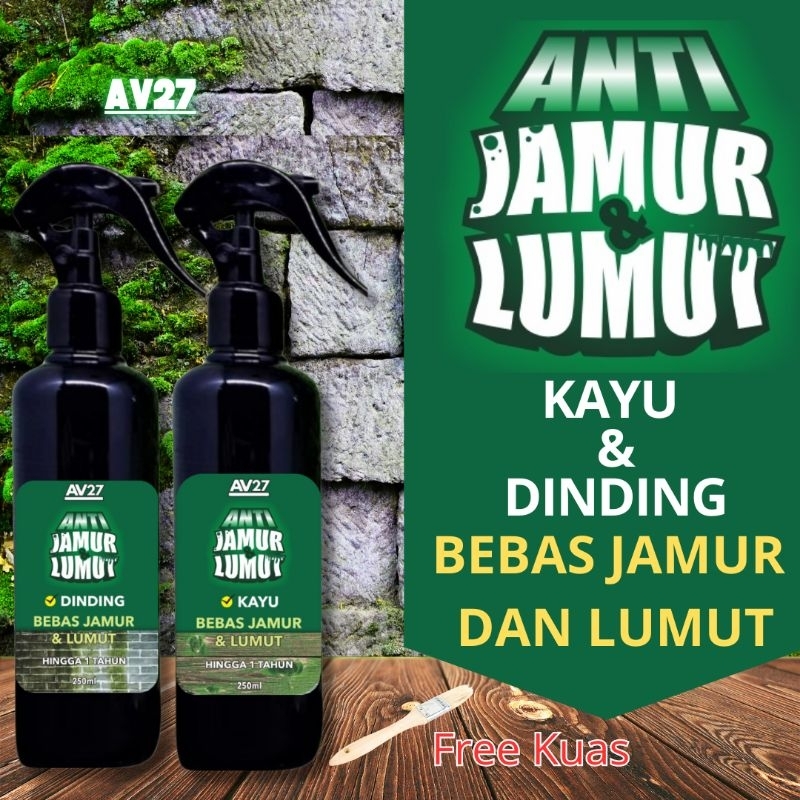 Jual Anti Jamur & Lumut Kayu Anti Jamur Lumut Dinding | Melindungi dan ...
