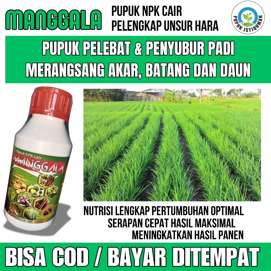 Jual Pupuk Ajaib PERBANYAK ANAKAN PADI - NPK MANGGALA 500 ML Panen Padi Lebih Banyak dan Besar ...
