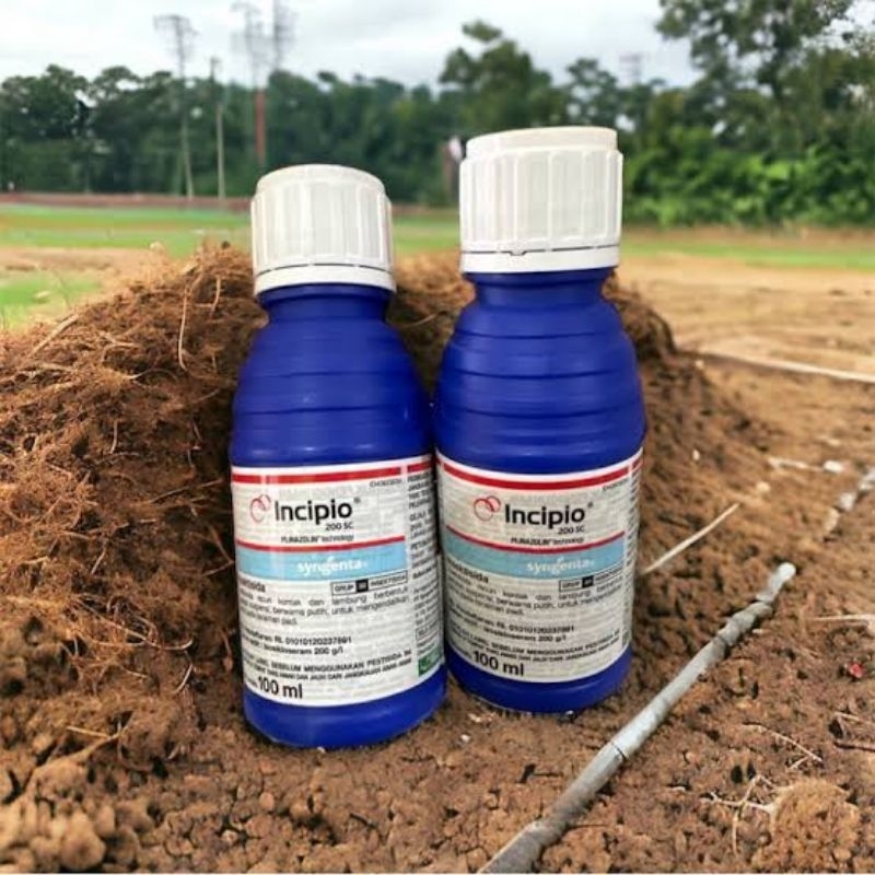 Jual Insektisida incipio 200sc 100ml / incipio 200sc 100 ml / incipio ...