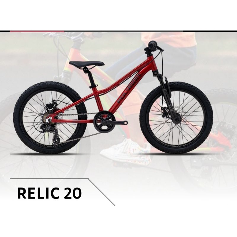 Jual Sepeda Gunung Anak MTB Polygon Relic 20 Inch | Shopee Indonesia