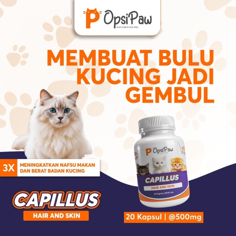 Jual Membuat Bulu Kucing Jadi Gembul | Shopee Indonesia