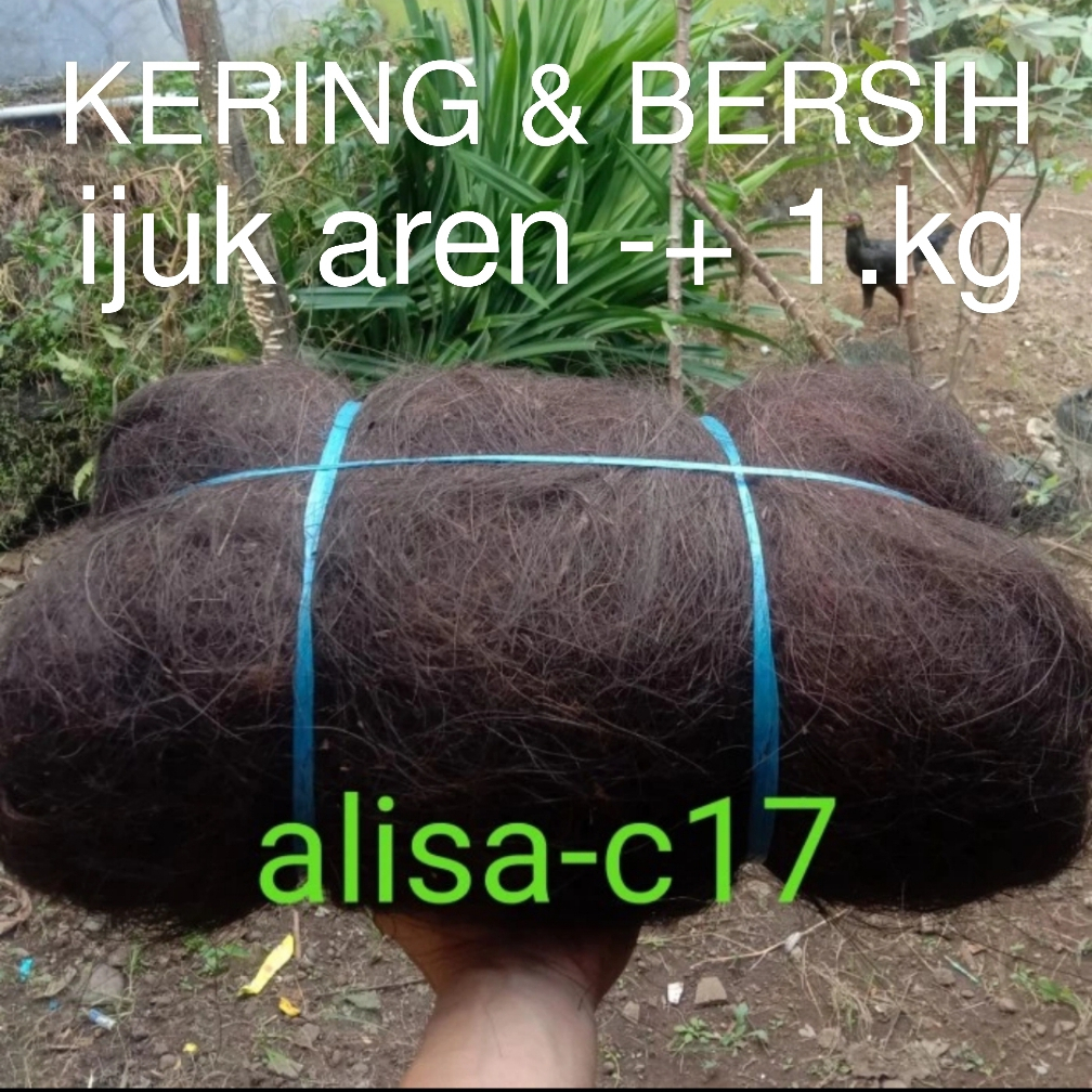 Jual Ijuk Resapan Kering Bersih 1 Kg Ijuk Hitam Halus Ijuk Saringan Air ...