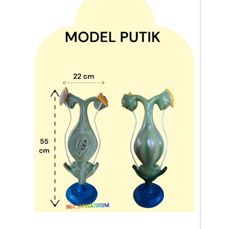 Jual Model Putik Bunga/Alat Peraga Putik Bunga | Shopee Indonesia