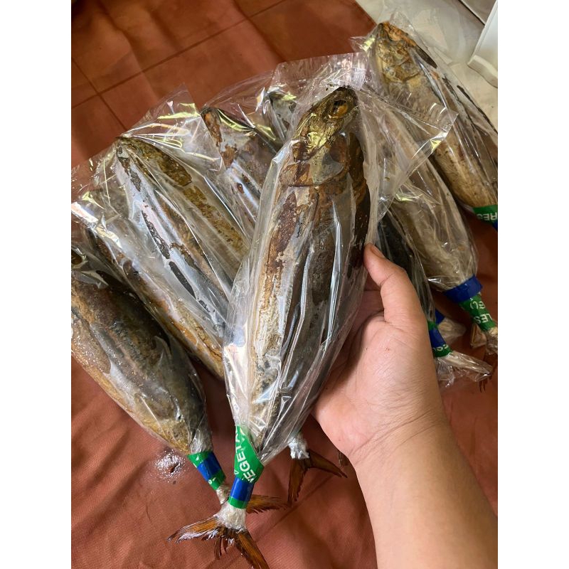 Jual Ikan Asap Tongkol Deho (250-300gr) kemasan vakum food grade ...