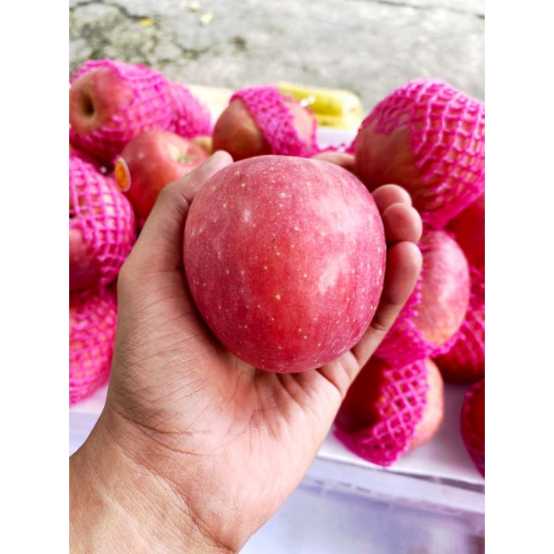 Jual Buah Apel Fuji Manis (Apple Fruits) | Shopee Indonesia