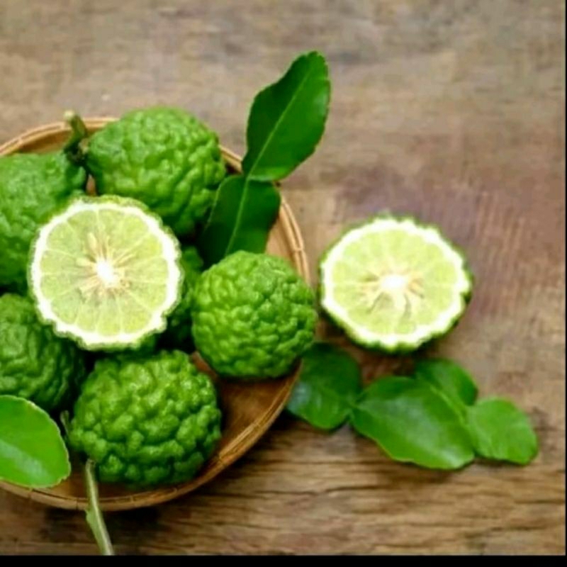 Jual biji benih jeruk purut isi 5 butir | Shopee Indonesia