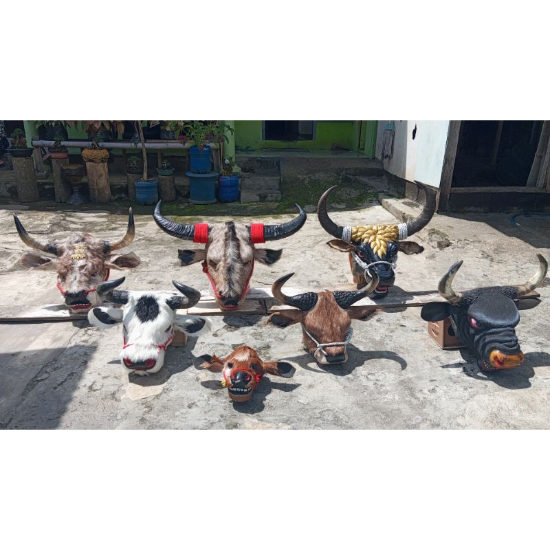 Jual Bantengan berot Bantengan mangapan satu kil setengah dua kil ...