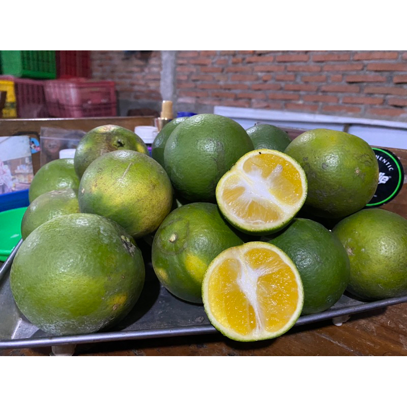 Jual jeruk baby java (500gr) | Shopee Indonesia