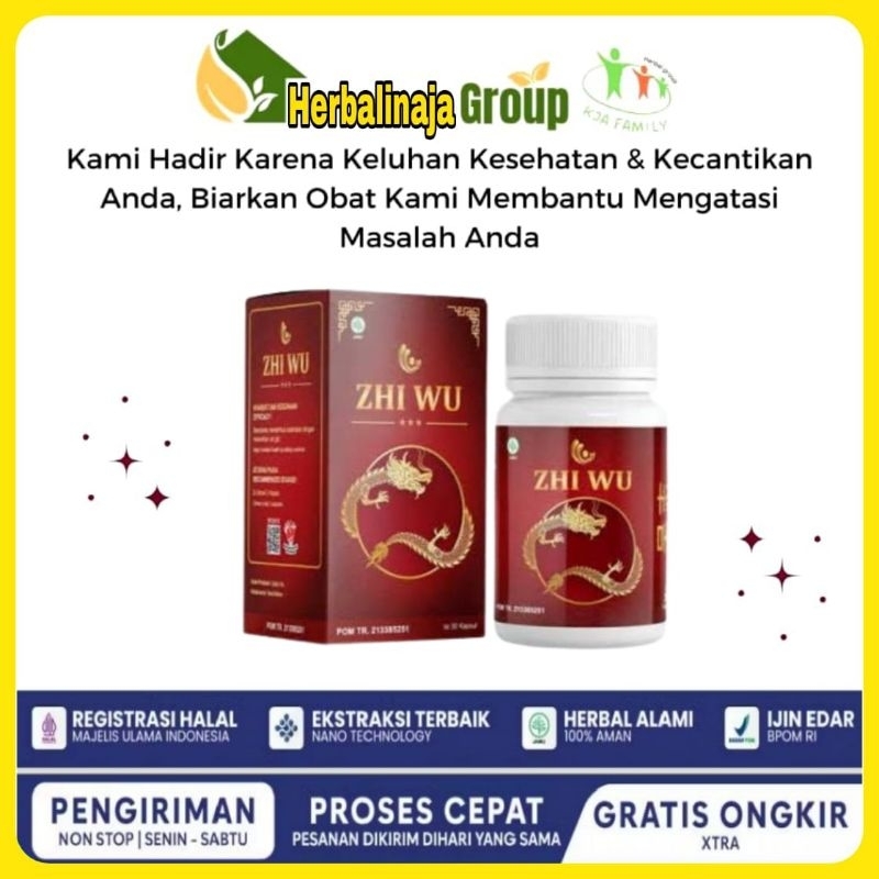 Jual Zhi Wu Asli Obat Herbal China Untuk Asam Urat Saraf Kejepit isi 30 ...