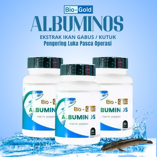 Jual Kapsul Ektsrak Ikan Gabus Albumin Albuminos PAKET 3 BOTOL Lebih ...