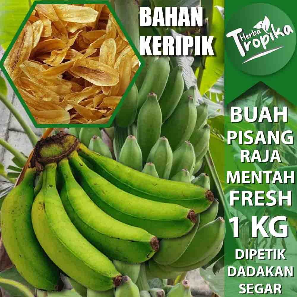 Jual Buah Pisang Raja Mentah Untuk Membuat Kripik enak 1 Sisir 1 kg ...