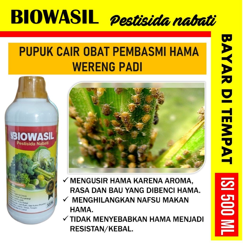 Jual (Bisa Cod) isi 500 ML BIOWASIL PESTISIDA HAMA WERENG PADI SAWAH ...