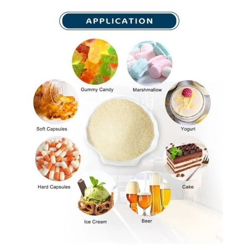 Jual GELATIN SAPI 250GR BEEF GELATINE POWDER ROSELOT CAKE SOFT CANDY ...