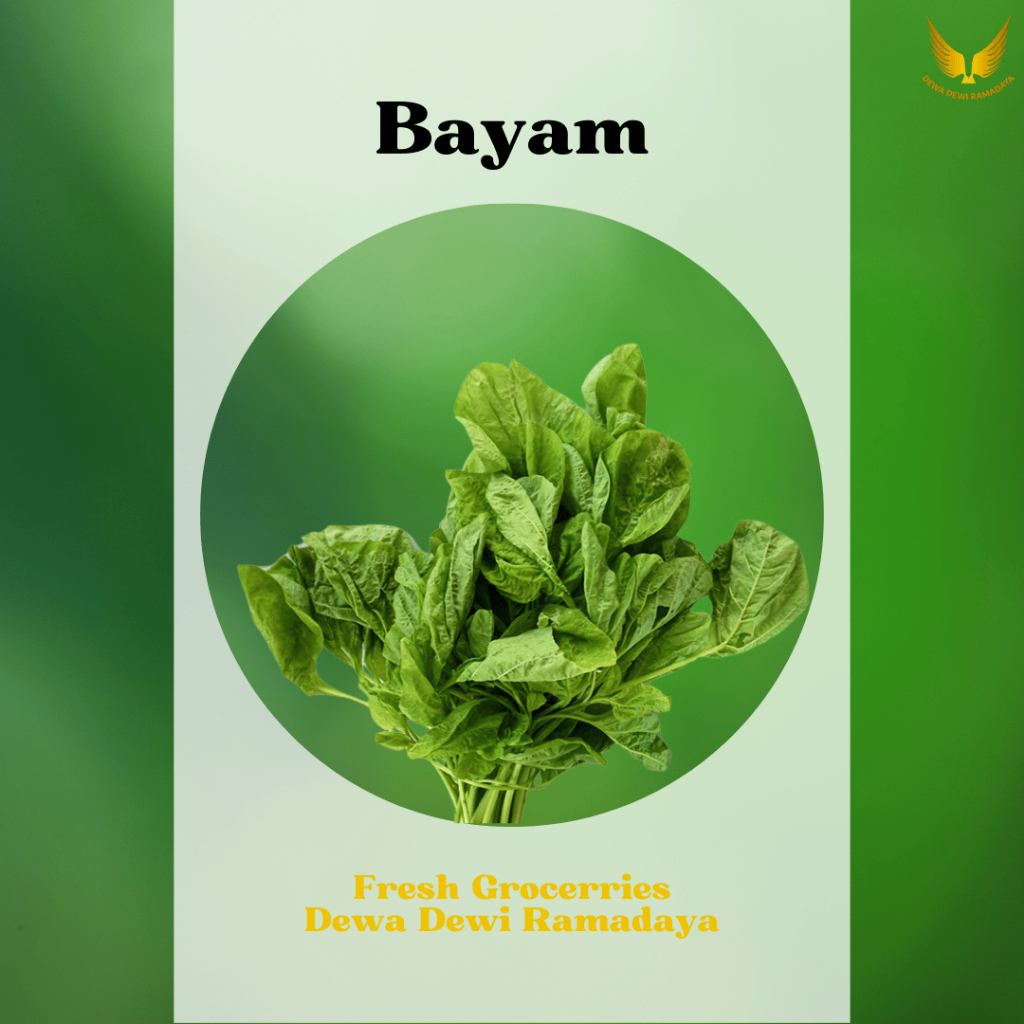Jual Bayam Dewa Dewi Rama Daya | Shopee Indonesia