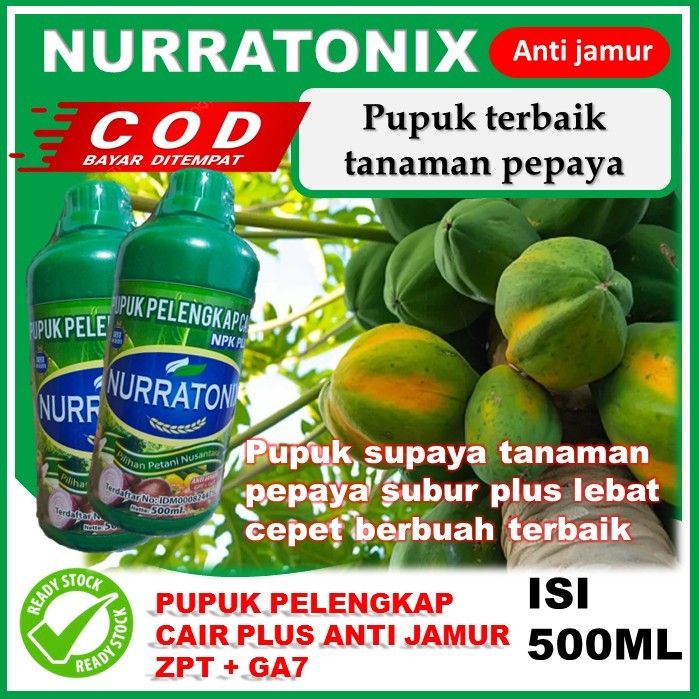 Jual Pupuk Pelengkap Cair Zpt plus Ga7 anti jamur pupuk paling ampuh pelebat, penyubur tanaman ...