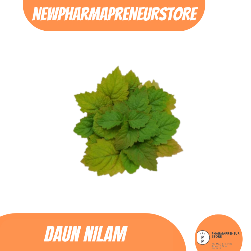 Jual EKSTRAK DAUN NILAM BEST QUALITY | Shopee Indonesia