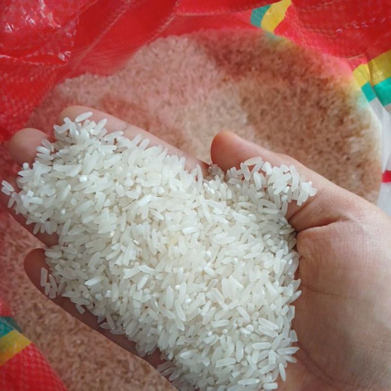 Jual Beras perak untuk nasi goreng 1kg | Shopee Indonesia