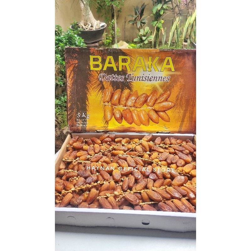 Jual KURMA TUNISIA TANGKAI 5KG PREMIUM_KURMA ALGERIA TANGKAI 5KG ...