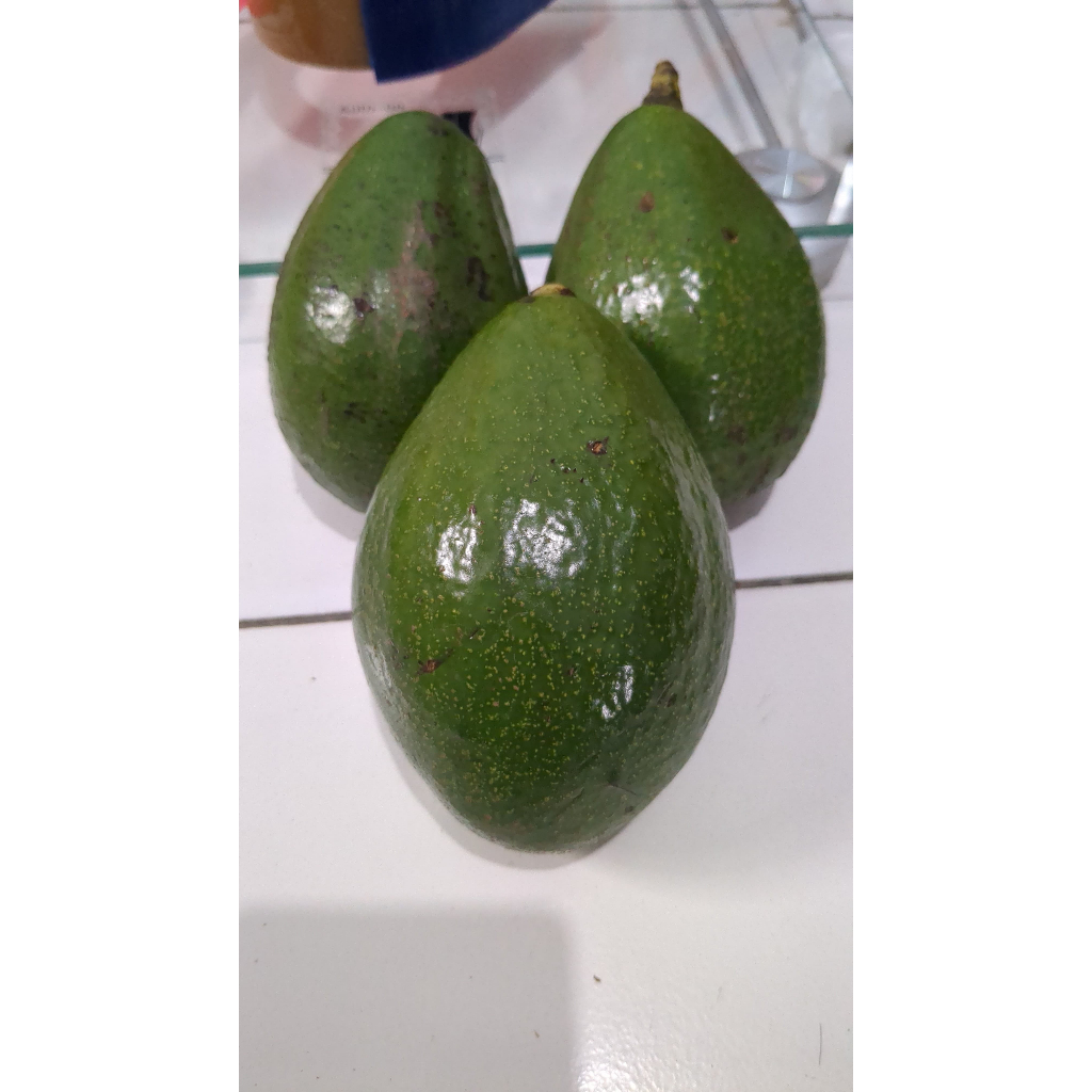 Jual ALPUKAT MENTEGA SUPER 1KG(ISI 3) | Shopee Indonesia