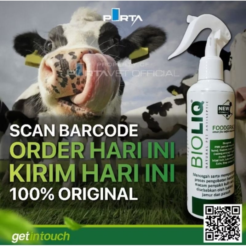 Jual BIOLIQ SPRAY -Obat Jamur Scabies Demodex Biodin spray Luka Kucing ...
