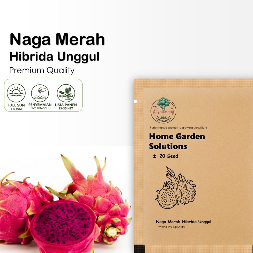 Jual 20 Biji - Bibit Benih Buah Naga Merah Hibrida Unggul | Shopee ...