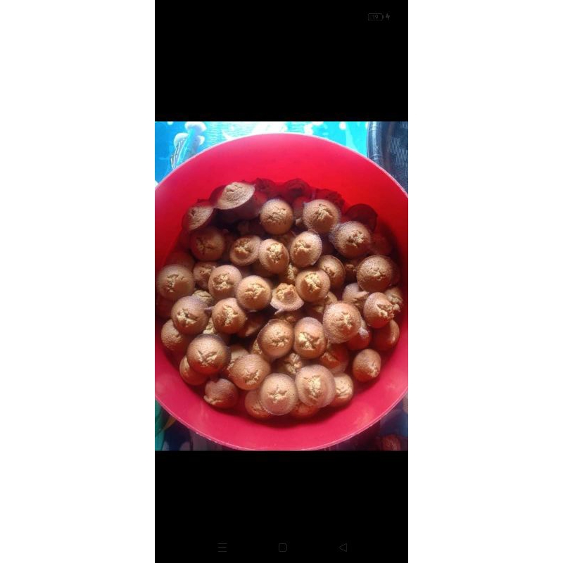 Jual roti beras khas Nagara | Shopee Indonesia