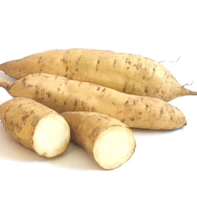 Jual ubi jalar putih 1 kg | Shopee Indonesia