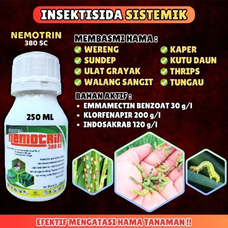 Jual TERLARIS!! NEMOTRIN insektisida 380 sc obat pembasmi hama gulma ...