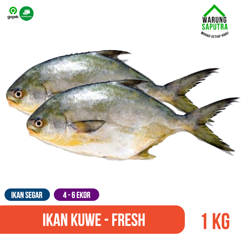Jual Ikan Kuwe Mati Segar Utuh 1 kg | Shopee Indonesia
