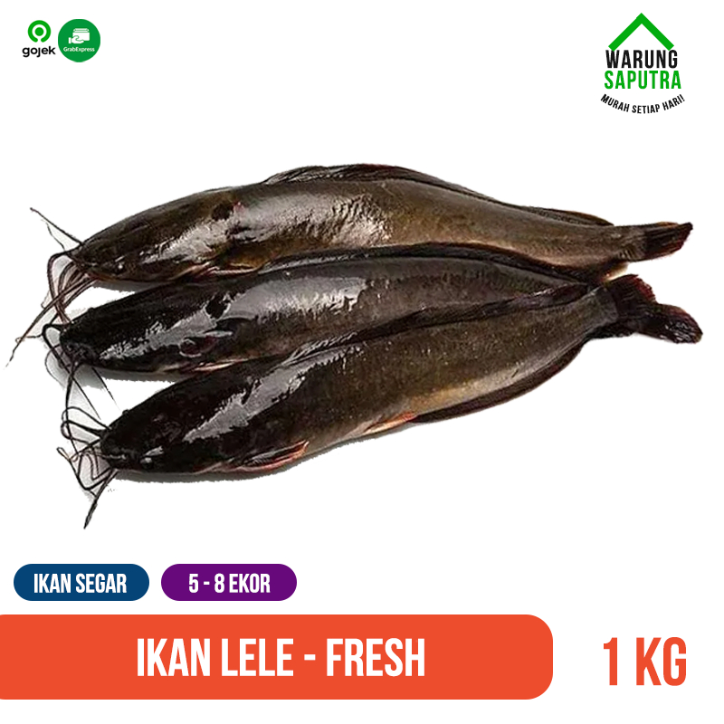 Jual Ikan Lele Mati Segar Utuh 1 kg | Shopee Indonesia