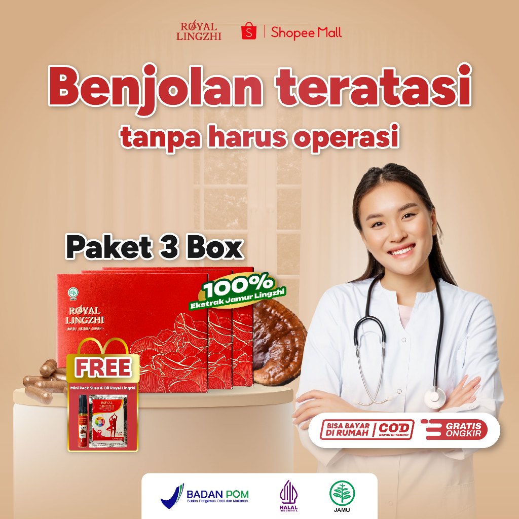 Jual Royal Lingzhi Kapsul Obat Herbal Suplemen Paket Hemat Isi 3 Box Atasi Kanker Payudara ...