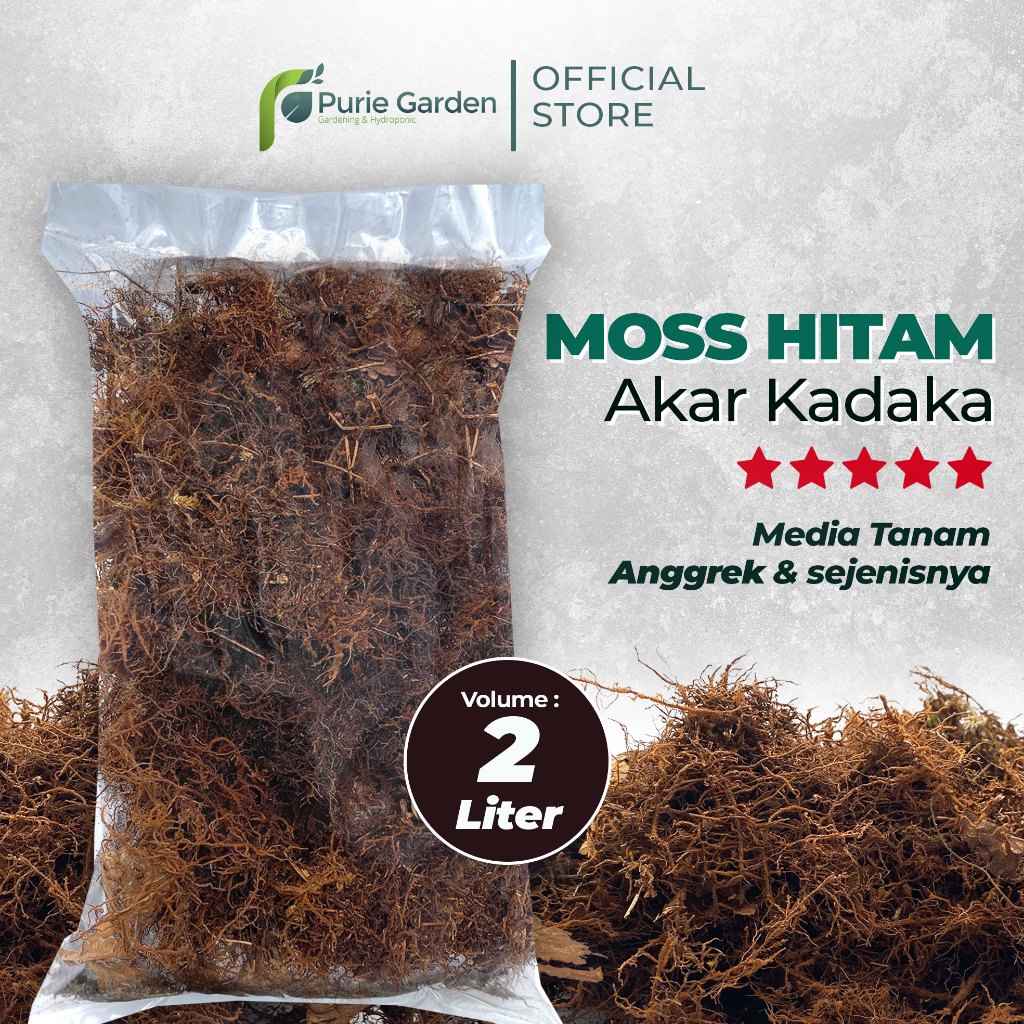Jual Akar Kadaka Moss Hitam Media Anggrek Tanaman Hias 2 Liter Purie ...
