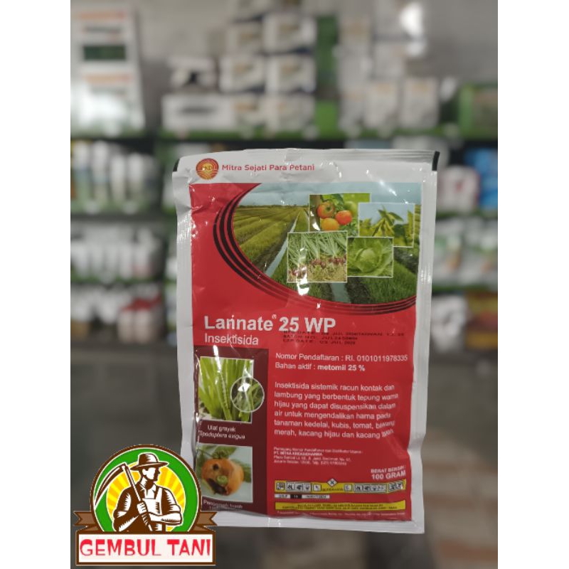 Jual insektisida lannate 25wp 100gr | Shopee Indonesia