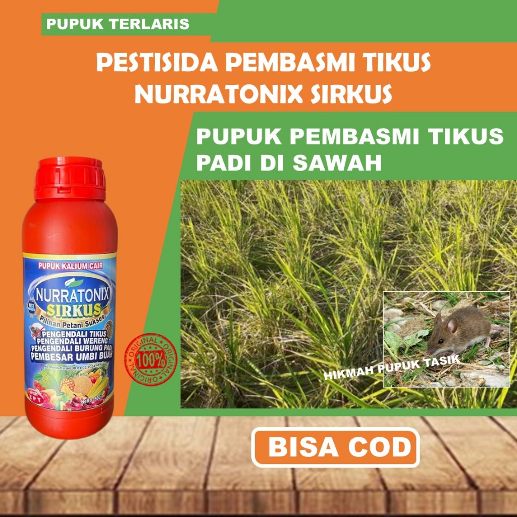 Jual PESTISIDA PEMBASMI HAMA TIKUS SAWAH DAN PADI SERTA TANAMAN LAINNYA ...